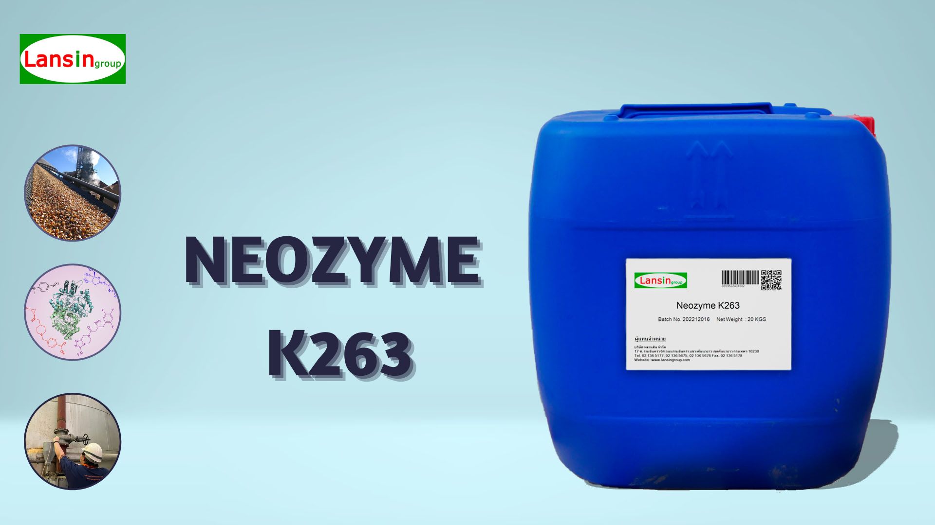 Neozyme K263P